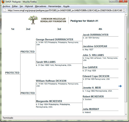 APELLIDOS ITALIANOS - ADN - Genealogía Molecular